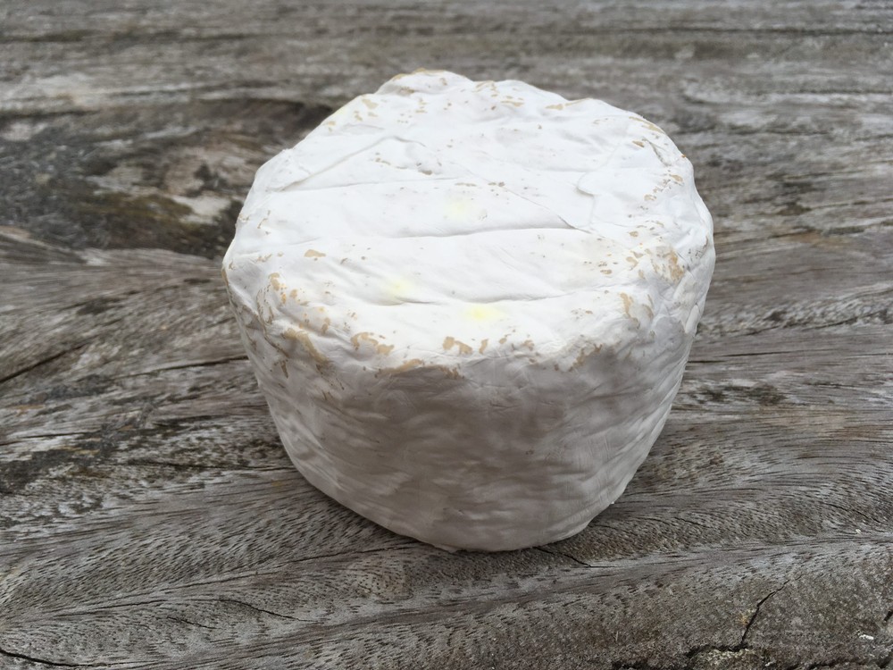 What is White Nancy Cheese?