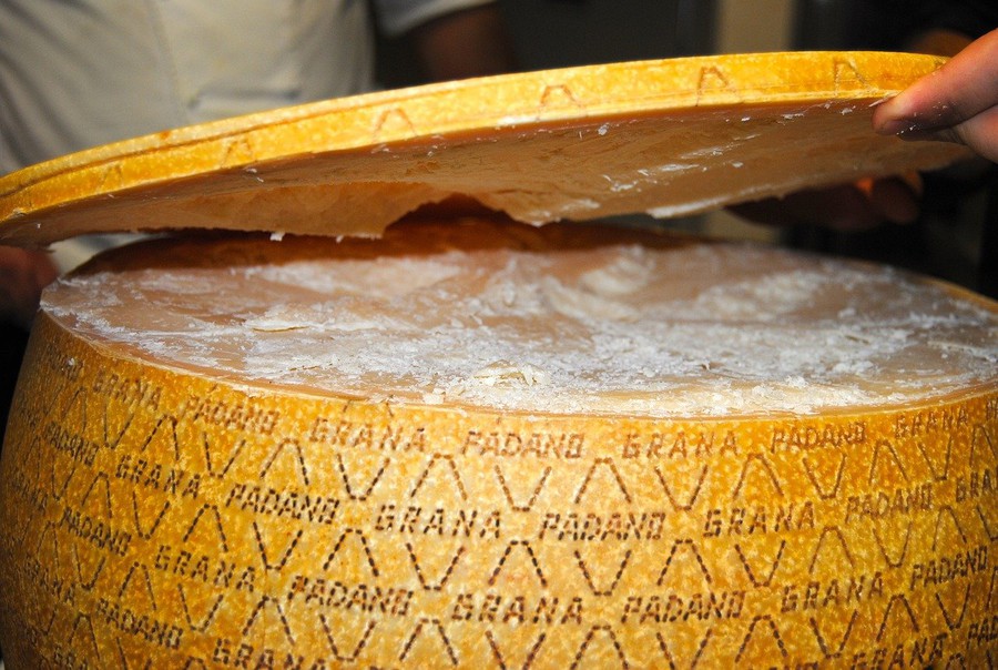 What Are the Best Parmesan Cheese Substitutes and How to Choose Them?