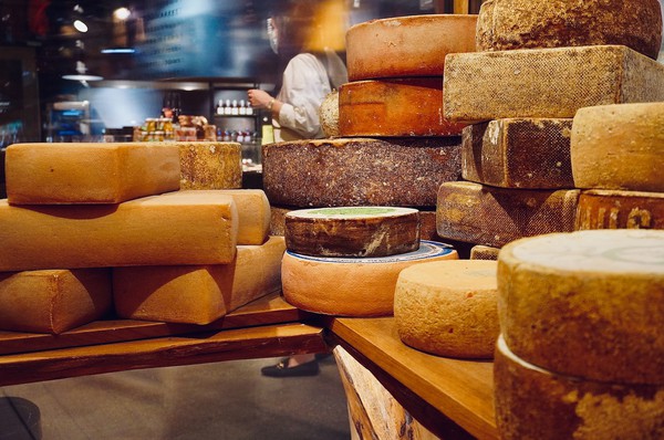 How It All Started: The History Behind the Science of Cheese