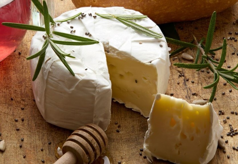 Casu Marzu - The Maggot Infested Cheese