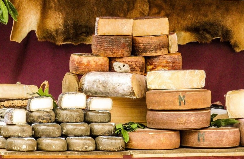 5 Healthy Cheese Varieties for Growing Kids